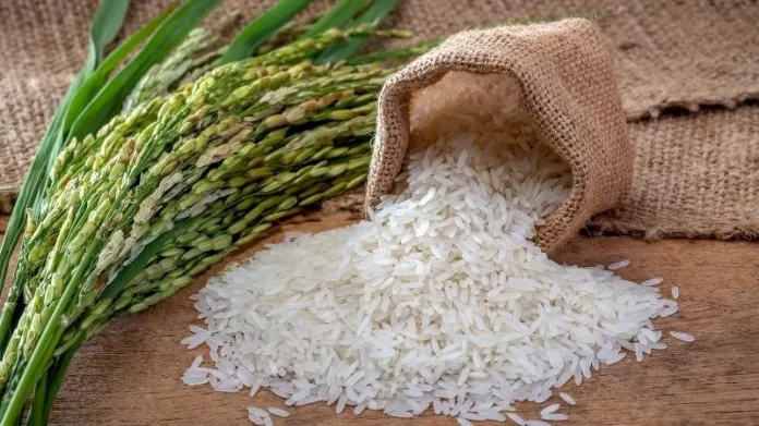 Organic rice makes an important contribution to improving the value of ...